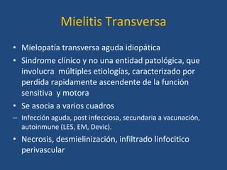 Diagnostico Lesiones Medulares | PPT