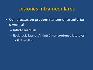 Diagnostico Lesiones Medulares | PPT