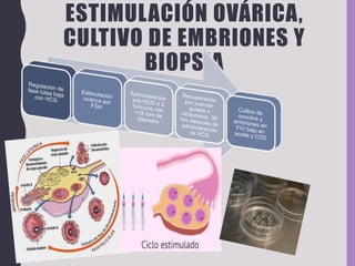 Diagnostico genetico preimplantacion | PPTX