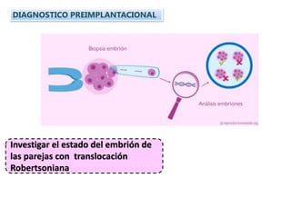 Diagnostico genetico preimplantacion | PPTX