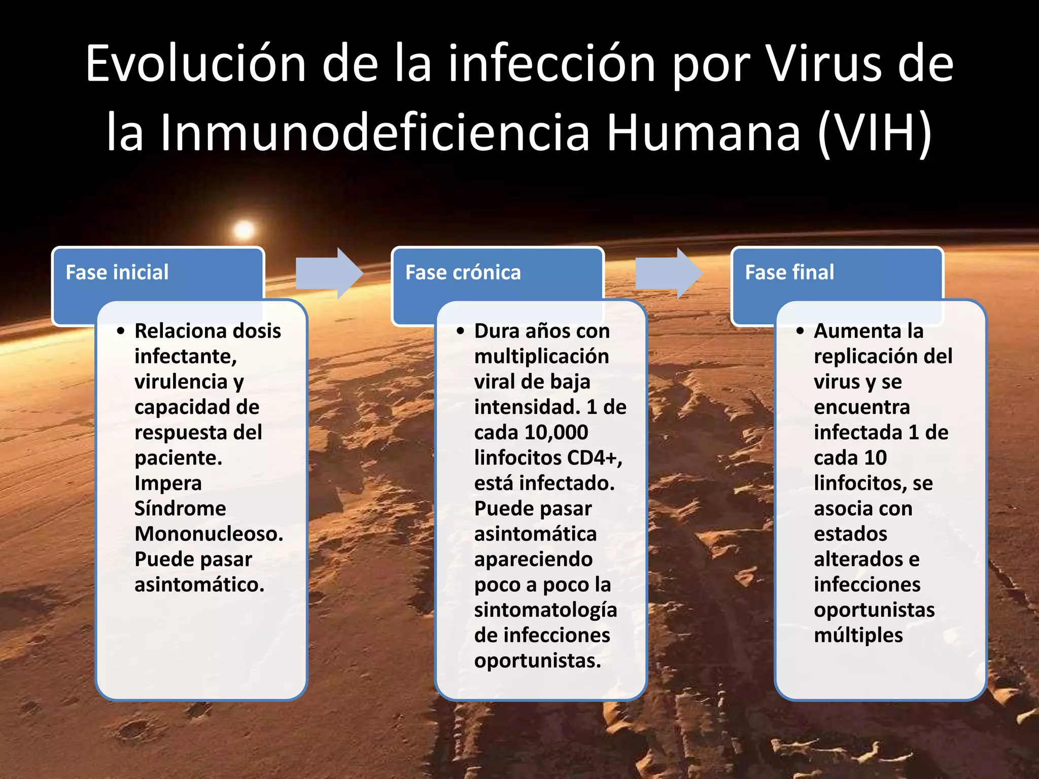 Diagnostico inmunoserologico de infeccion por HIV | PDF | Infectious ...