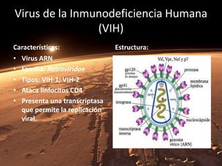 Diagnostico inmunoserologico de infeccion por HIV | PDF