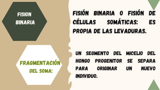 DIAGNOSTICO MICOLOGICO.pdf