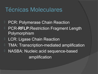 Diagnostico molecular en melanoma metastasico | PPT