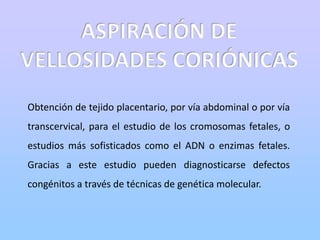 Diagnostico prenatal y agentes teratogénicos | PPT