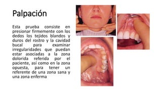 Diagnostico pulpar | PPTX