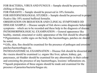 DIAGNOSTIC PROCEDURE OF FISH DISEASE.pdf