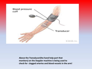 Diagnostic Procedures Of The Cardiovascular System | PPTX