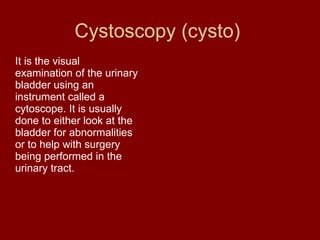 Diagnostic Procedures Of The Urinary System | PPT