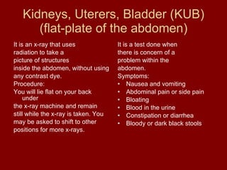 Diagnostic Procedures Of The Urinary System | PPT