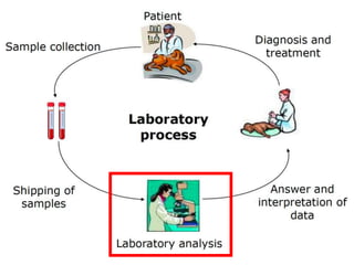 Diagnostic process | PPTX