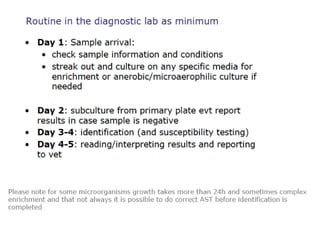 Diagnostic process | PPTX