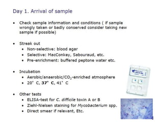 Diagnostic process | PPT