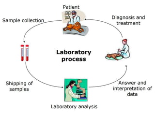 Diagnostic process | PPT