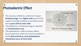 Diagnostic radiography concepts x ray equipment | PPTX
