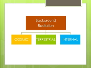 diagnosticradiology - main fields of radiological diagnosis | PPT