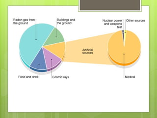 diagnosticradiology - main fields of radiological diagnosis | PPT