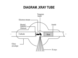 DIAGNOSTIC RADIOLOGYlesson three kyu.pptx