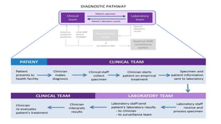 Diagnostic stewardship.pp....................... | PPTX