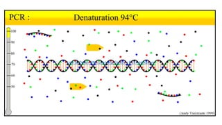Diagnostic techniques for genetic disorders | PPTX