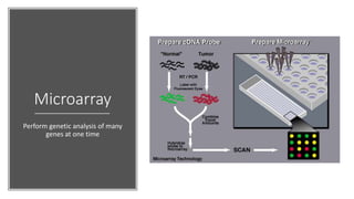 Diagnostic techniques for genetic disorders | PPTX