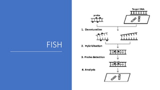 Diagnostic techniques for genetic disorders | PPTX