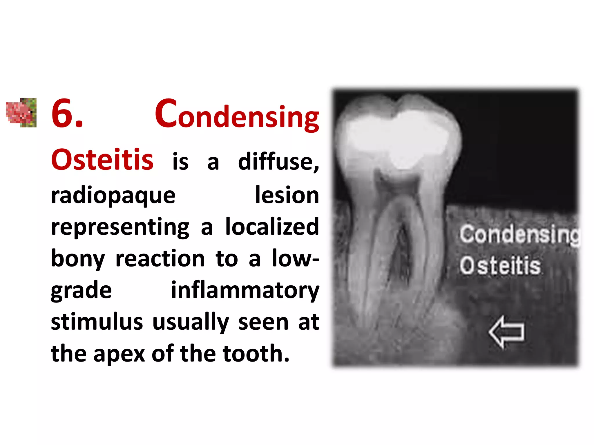 Diagnostic Terminology.pdf