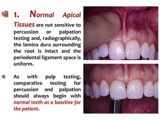 Diagnostic Terminology.pdf