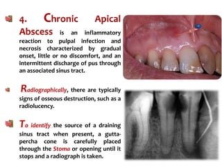 Diagnostic Terminology.pdf