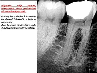 Diagnostic Terminology.pdf