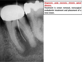 Diagnostic Terminology.pdf