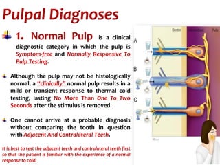 Diagnostic Terminology.pdf