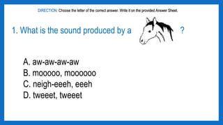 Diagnostic Test English 3.pptx