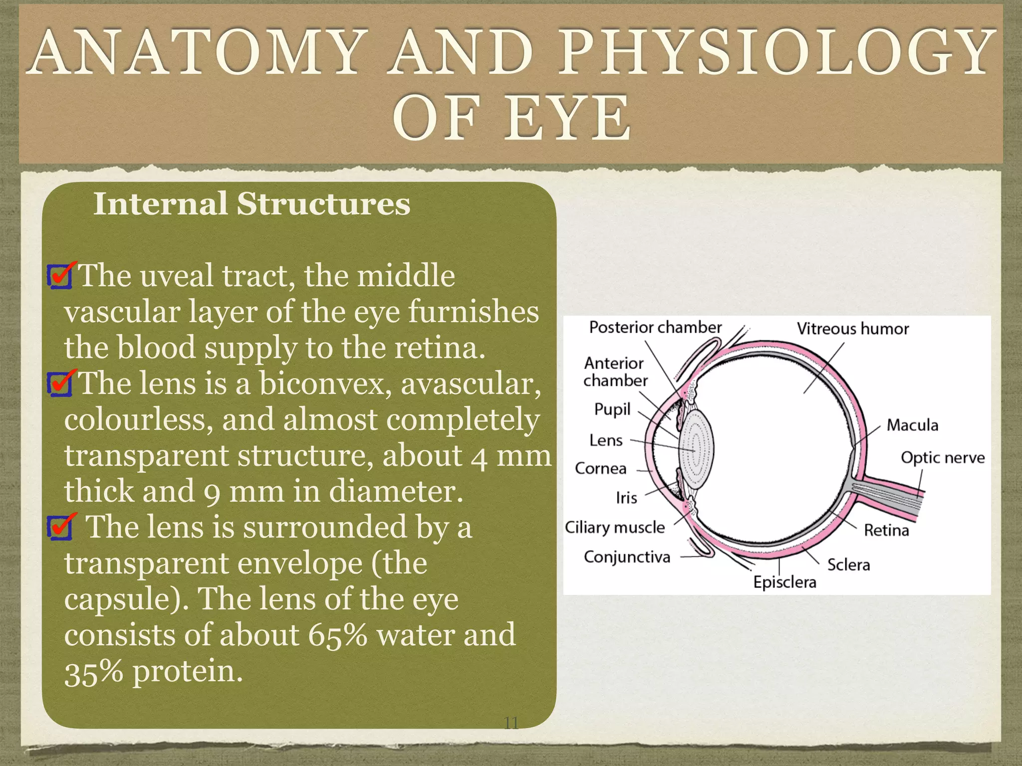 HEALTH ASSESSMENT AND DIAGNOSTIC TESTS OF EYE AND ENT ...