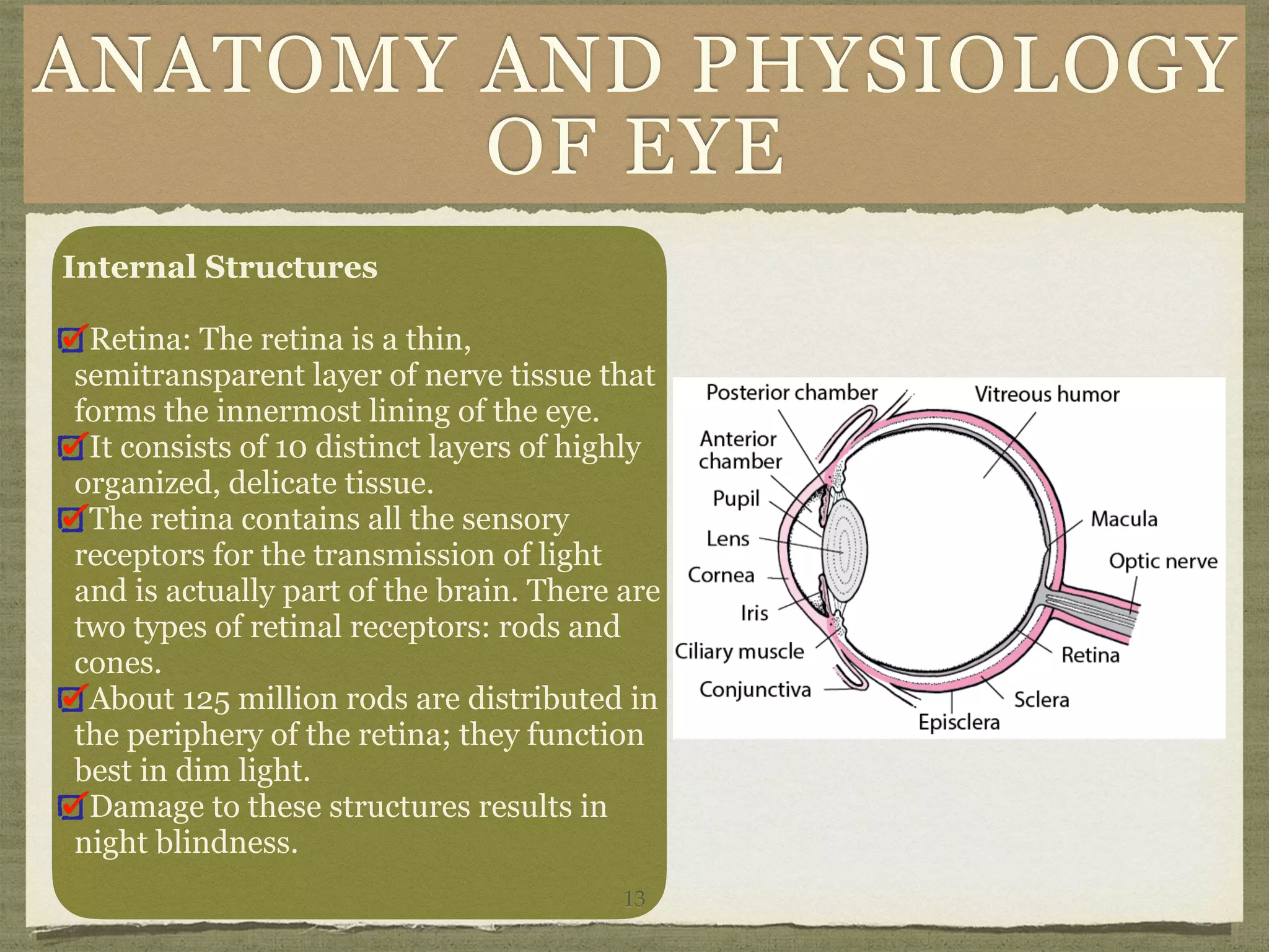 HEALTH ASSESSMENT AND DIAGNOSTIC TESTS OF EYE AND ENT ...