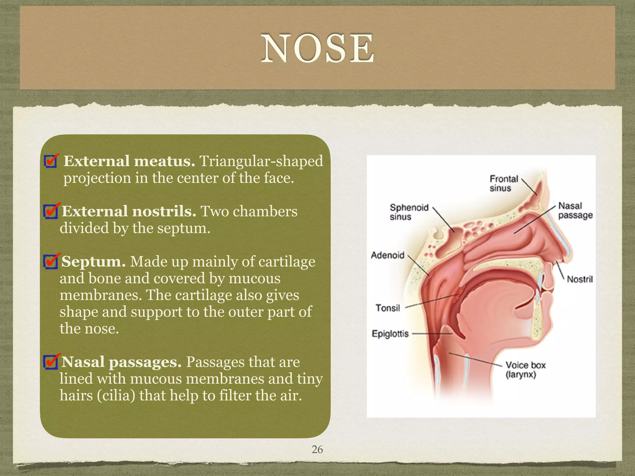 HEALTH ASSESSMENT AND DIAGNOSTIC TESTS OF EYE AND ENT ...