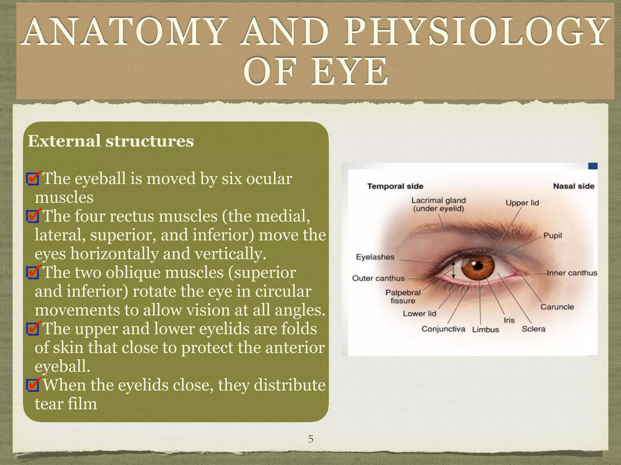 HEALTH ASSESSMENT AND DIAGNOSTIC TESTS OF EYE AND ENT ...