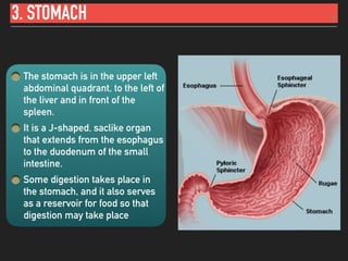 DIAGNOSTIC TESTS FOR GASTROINTESTINAL SYSTEM.pdf