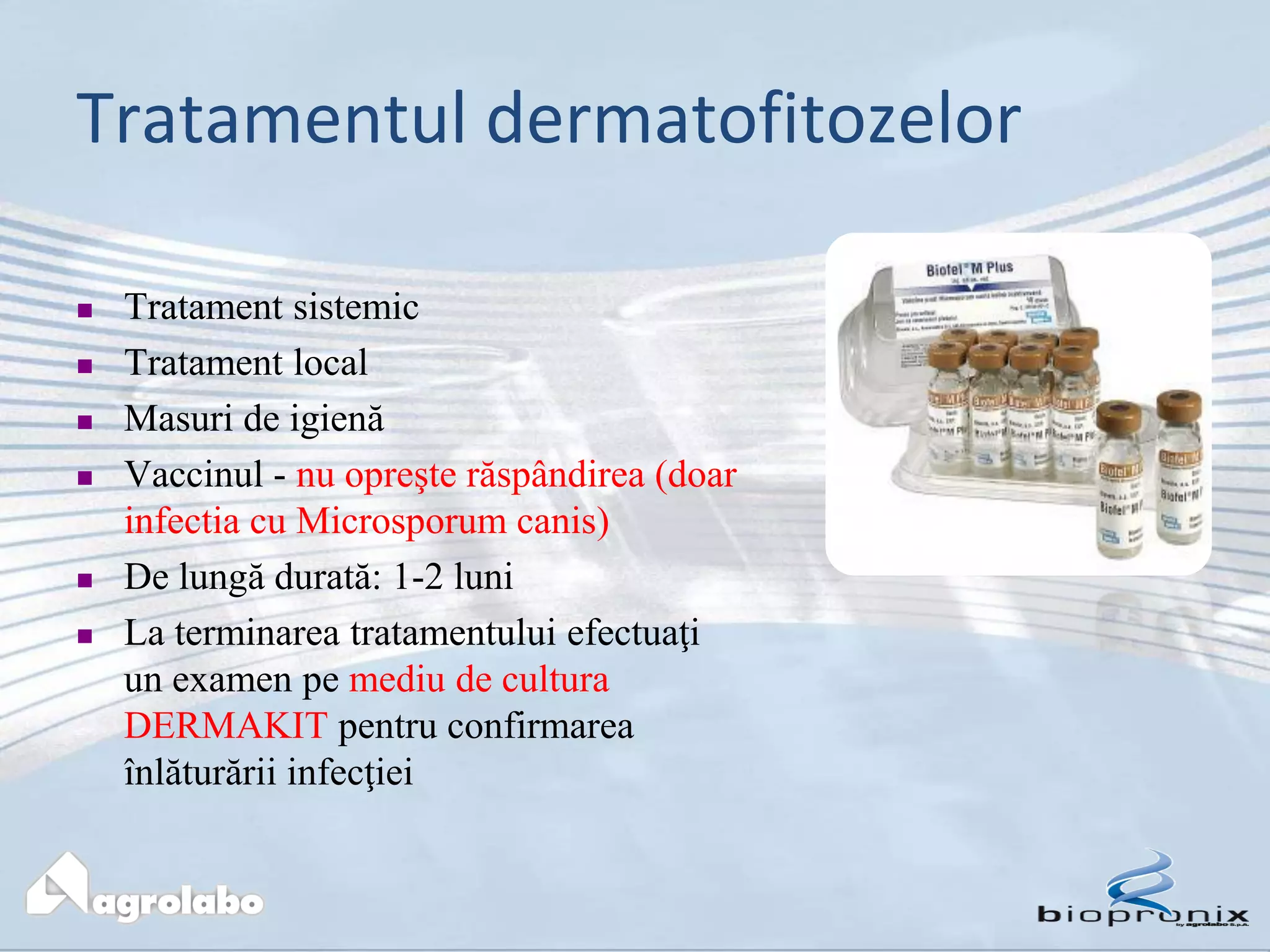Diagnosticul dermatofitozelor la carnivorele de companie dermakit ...