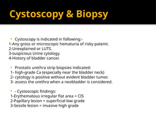 Diagnostic workup of bladder cancer .pptx