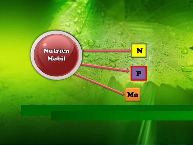 DIAGNOSTIK NUTRIEN (KUALITATIF) | PPT