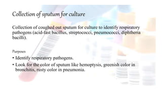 diagnosting testing bsc 2nd sem.pptx.... | PPTX