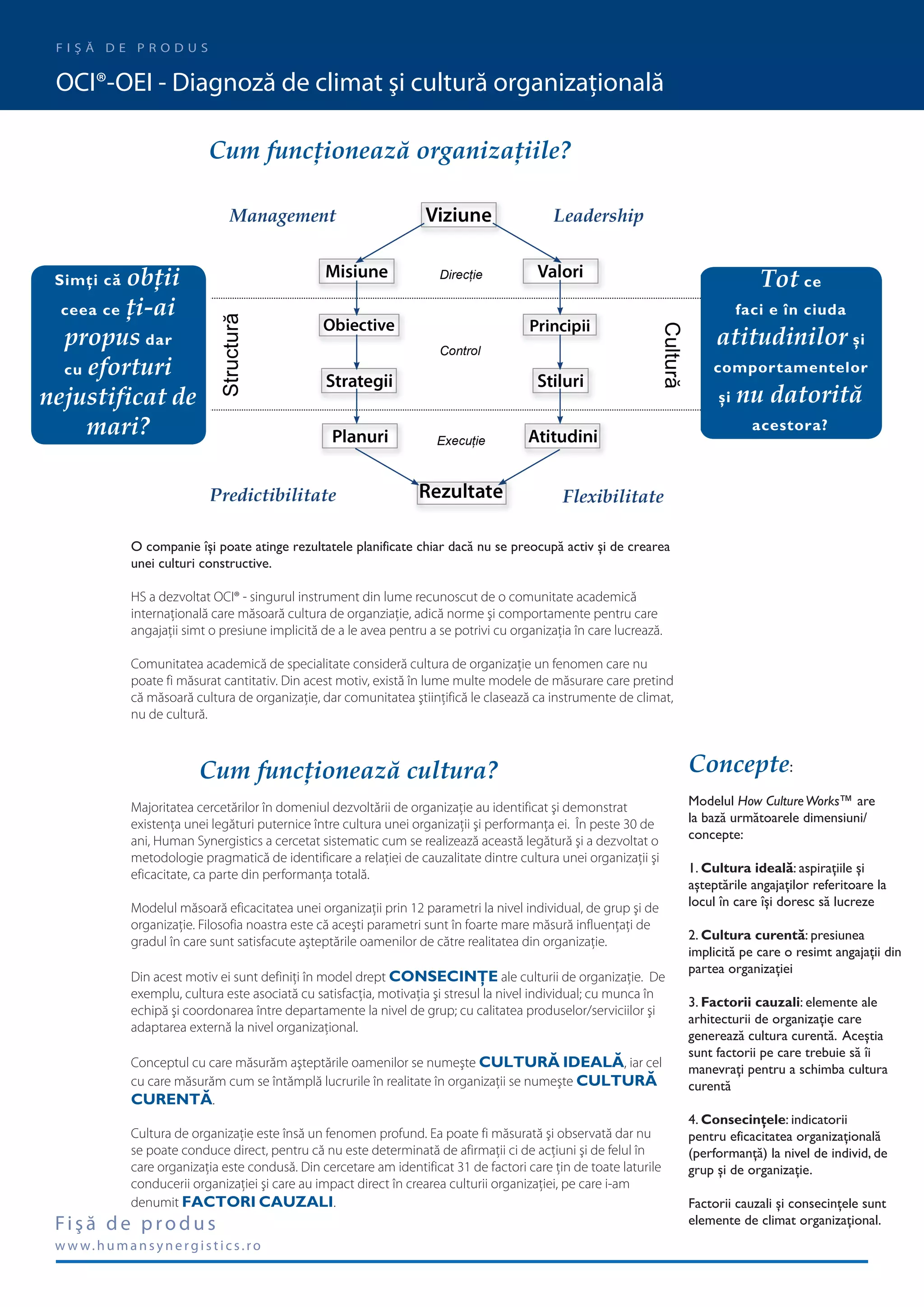 Diagnoza OCI OEI - detaliat | PDF