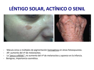 Diagnóstico a través de la imagen dermatología | PPTX