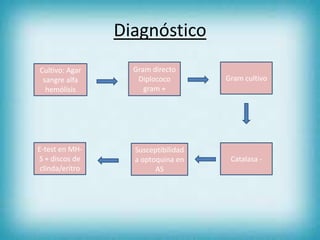 Diagnóstico de infecciones respiratorias bacterianas | PPTX