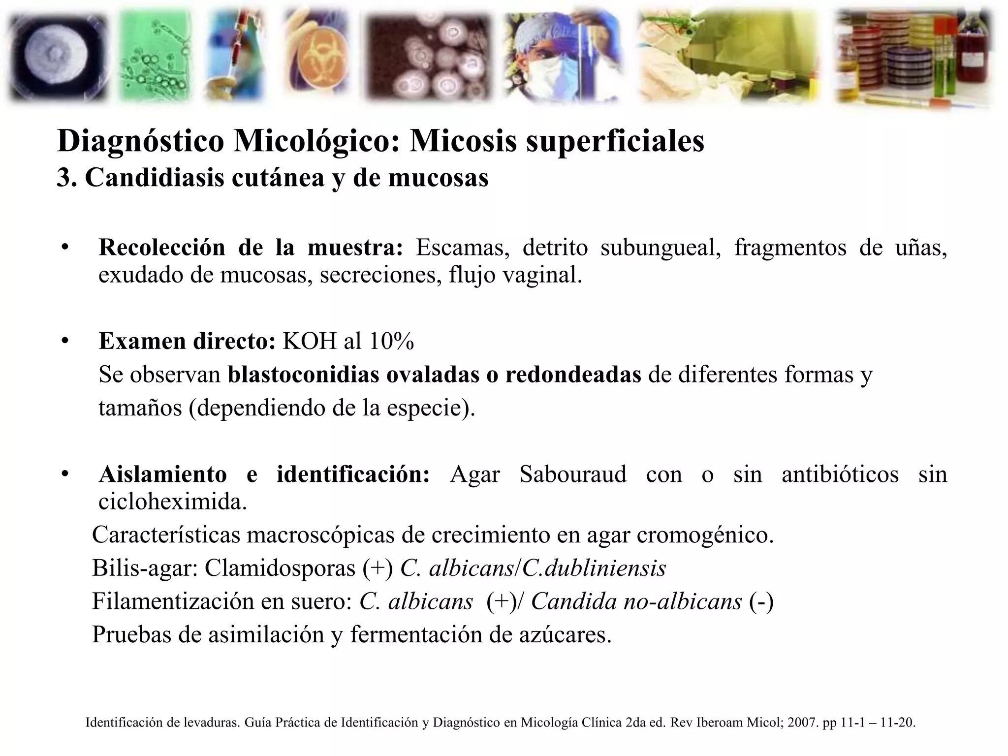 Diagnóstico micológico | PPTX