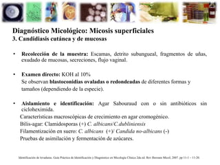 Diagnóstico micológico | PPTX