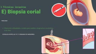 Diagnóstico prenatal de las alteraciones genéticas y congénitas ...