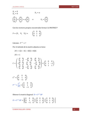 DIAGONALIZACION DE MATRICES | PDF