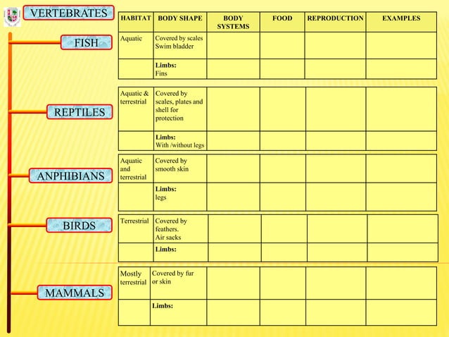 DIAGRAM. VERTEBRATES | PPT